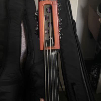 Azola Bug bass 5 string | Reverb