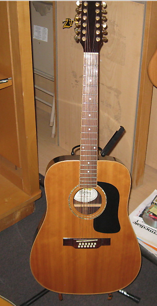 Washburn 12 String Acoustic D10-S12N | Reverb