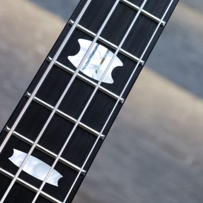 Spector Euro4 LT Rudy Sarzo Fishman Fluence Pickups Scarlett | Reverb