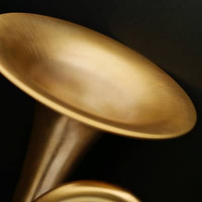 Pre-Owned Monette Raja P3-STC Trumpet in Brushed Gold Plate! | Reverb