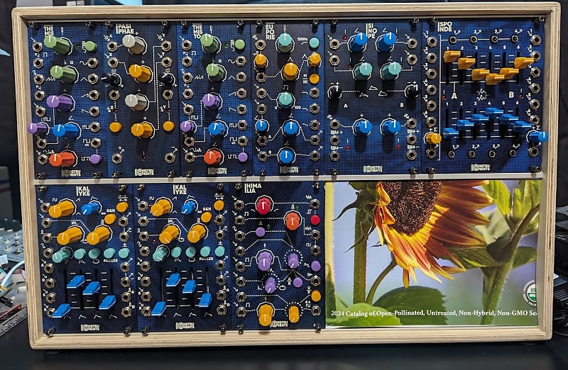 IO Instruments Starter system with Doepfer A-100 LC6 Case | Reverb