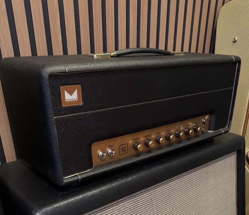 Morgan MVP35 Guitar Amplifier Head 1 of 4 Hand Wired 35 Watts | Reverb