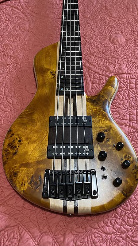 Cort A5 plus SC artisan series | Reverb