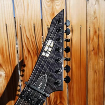 ESP LTD SIGNATURE SERIES BUZ-7 - See Thru Black 7-String | Reverb