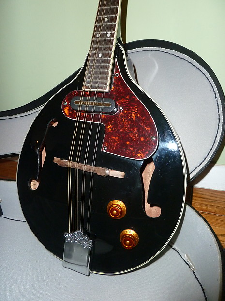Greg Bennett MA-2E Acoustic Electric Mandolin with Hard Case | Reverb