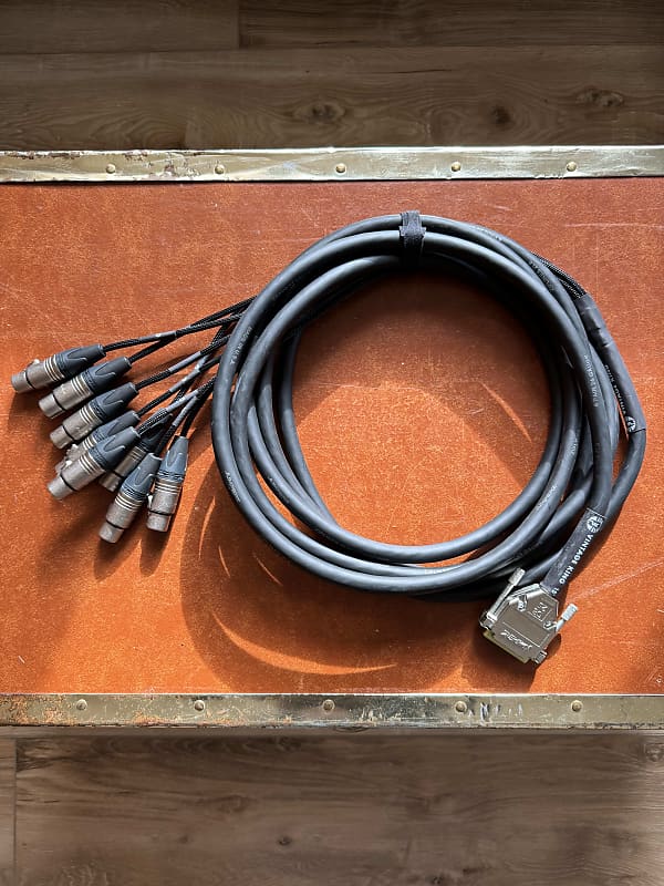 Vintage King Vintage King Basic Series DB25 - XLRF - 15' | Reverb