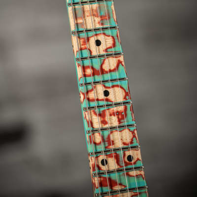 2022 James Tyler Guitars Tylerbastar Tele in Barn Find Finish | Reverb