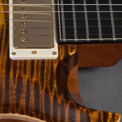 Fender PS#10409 Special 22 Semi Hollow "Birds of a Feather" | Reverb