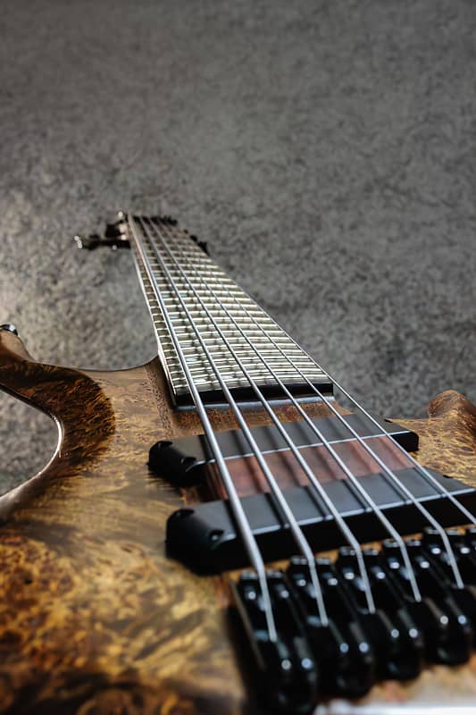 Custom 6 string fanned fret bass | Reverb