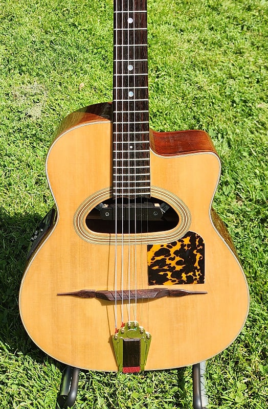 Johnson Gypsy jazz guitar - dual pickup, 14 fret D-hole loud. | Reverb