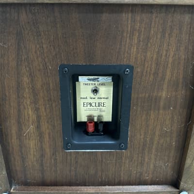 Epicure Model 400 Plus Tower Speaker Pair | Reverb