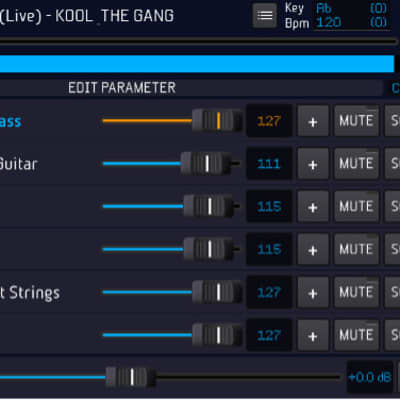M Live DIVO | Reverb