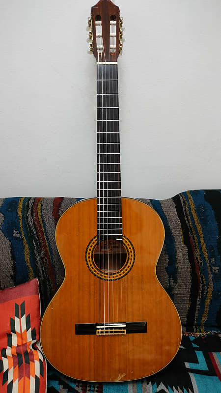 Aria Ac - 20 | Reverb