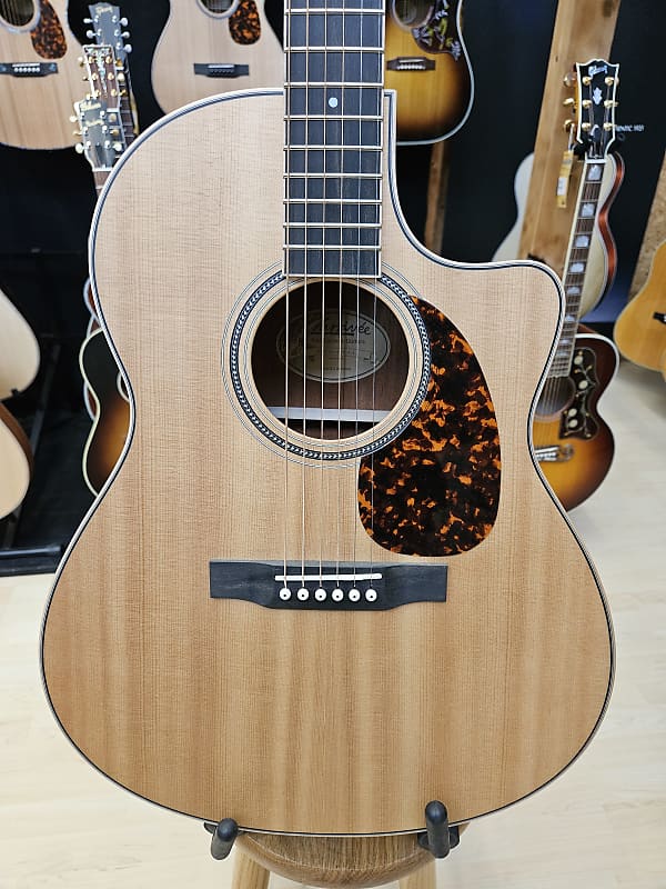 Larrivee Recording LV-03E | Reverb