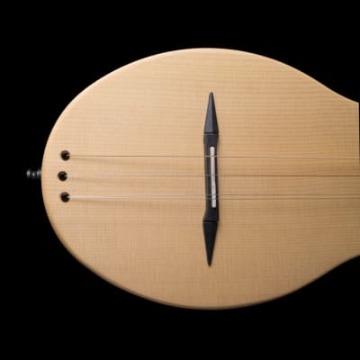 Seagull M4 Natural SG Merlin - spruce | Reverb Canada