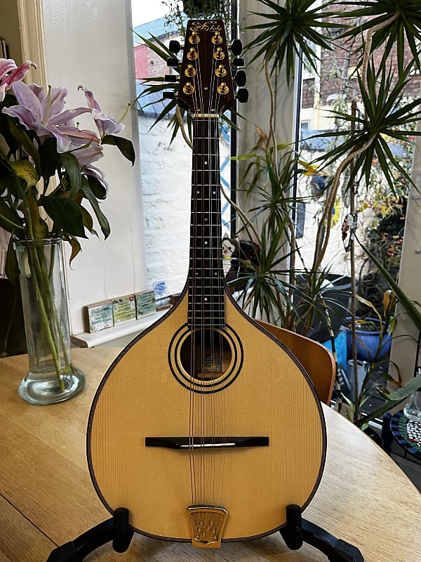 Fylde Touchstone Signature Mandolin Spruce top | Reverb