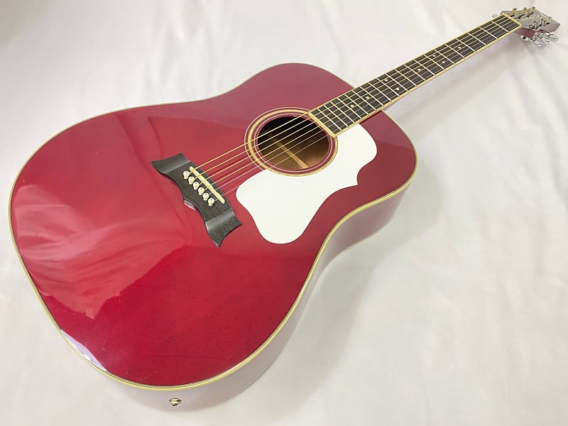 Morris G-35 WR Electric acoustic guitar | Reverb