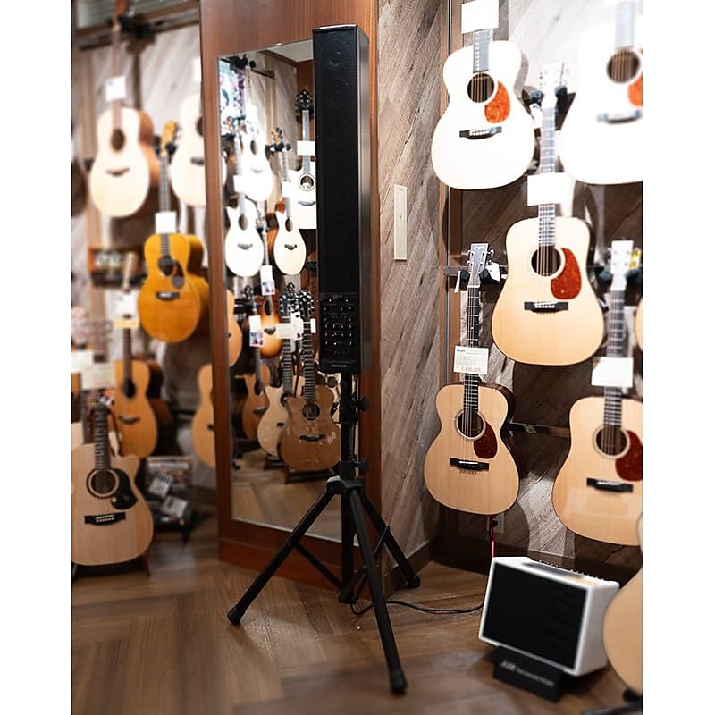 FISHMAN [USED] SA330x Performance Audio System | Reverb