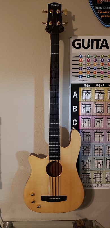 Carvin AC-40 Mid 2000's - HG | Reverb