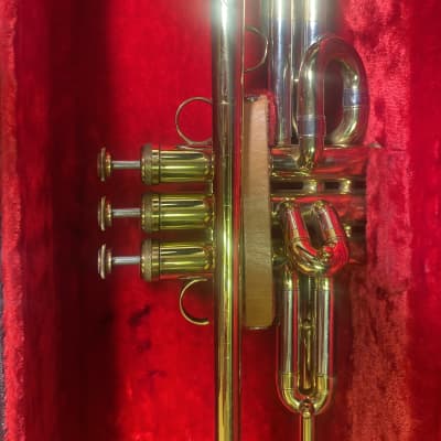 Herald Long trumpet | Reverb