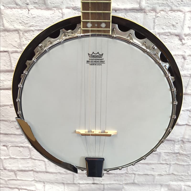 Fender 5 String Banjo with HSC | Reverb