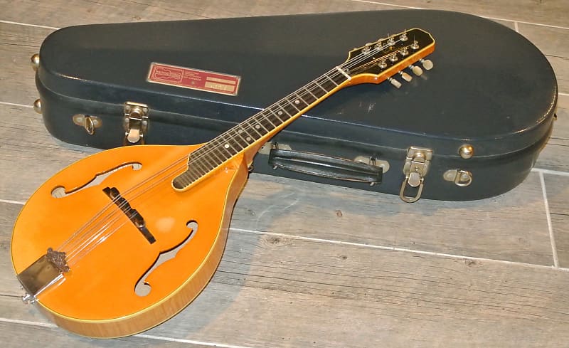 1995 Stiver A Style Mandolin w/ Calton Case- Insane Flame | Reverb