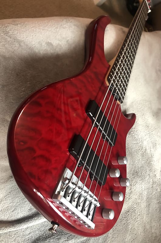 Peavey Fury VI six 6 string bass | Reverb