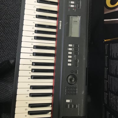 Yamaha PIAGGERO NP- V60 Keyboard (Miami Lakes, FL) | Reverb