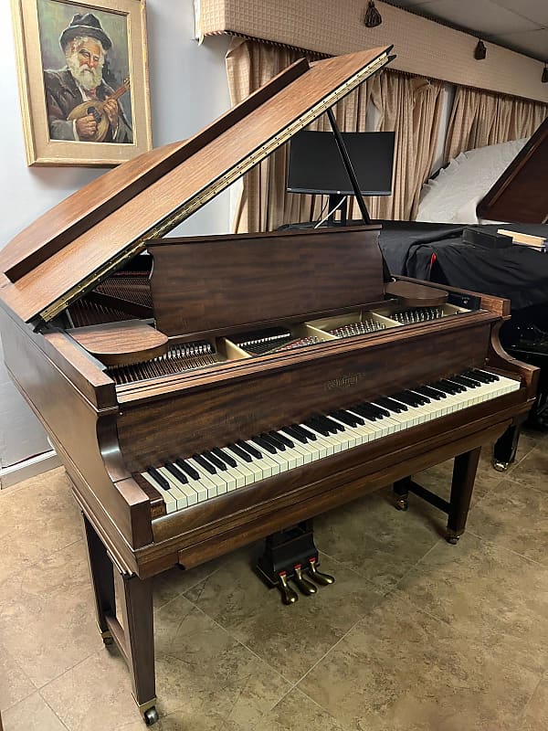 Chickering Ampico 5'4" Grand Piano with MIDI System | Reverb