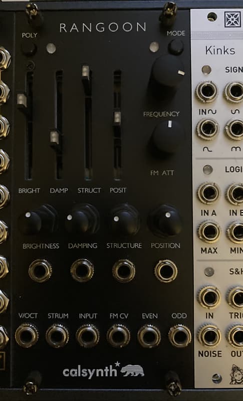 CalSynth Rangoon (Mutable Instruments Rings) - Black | Reverb