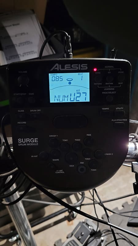 Alesis Surge Module (W/ Wiring Snake & Rack Mount) | Reverb