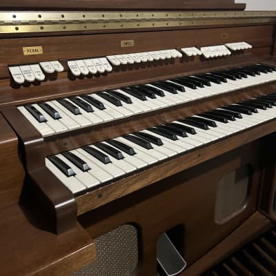Rogers Alexandria Organ w/ 32-Note Negative Concave | Reverb