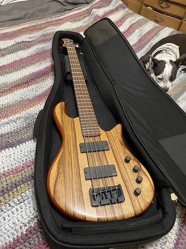 Drake Custom 5 | Reverb