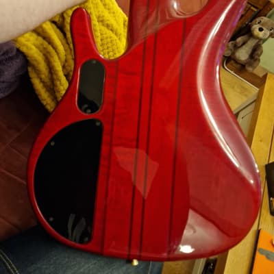 USA Made Peavey TL6 6 String Bass. Excellent Condition | Reverb UK