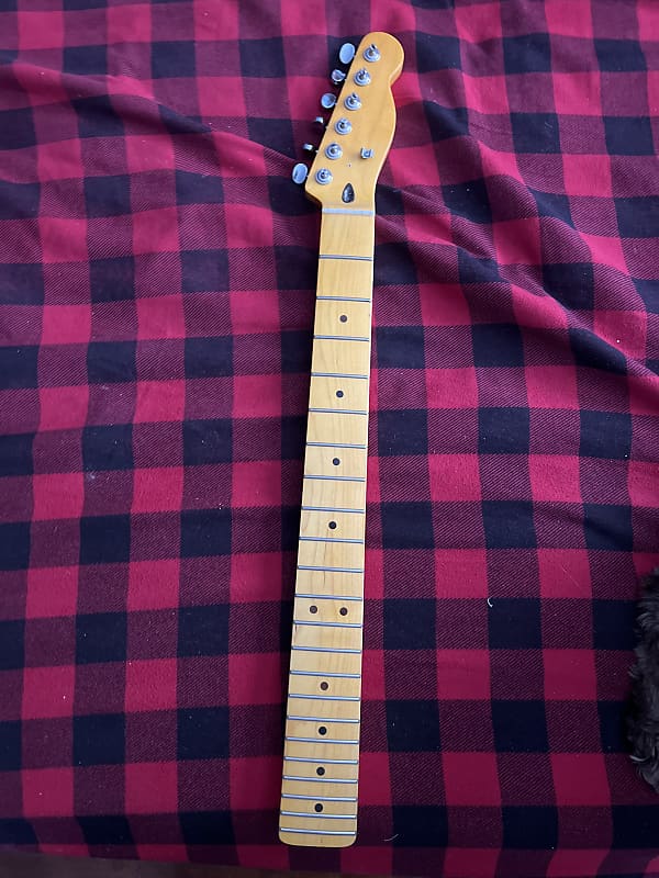 Custom Telecaster Neck Tinted Satin | Reverb