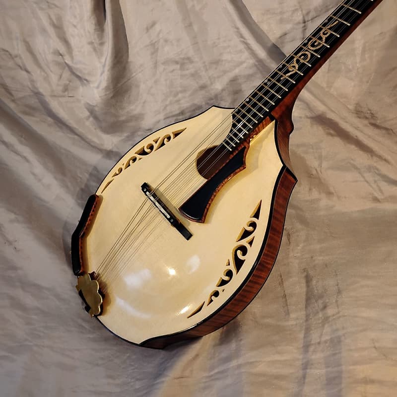 Y. Stern 2025 Four points Mandolin | Reverb Canada