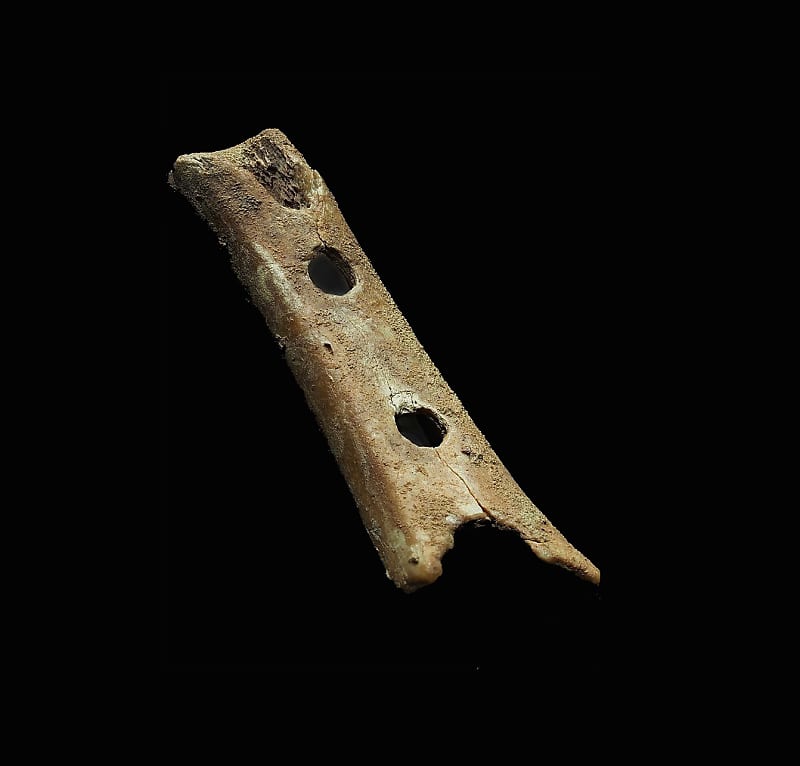 Divje Babe Bone Flute Replica - Oldest Musical Instrument in | Reverb