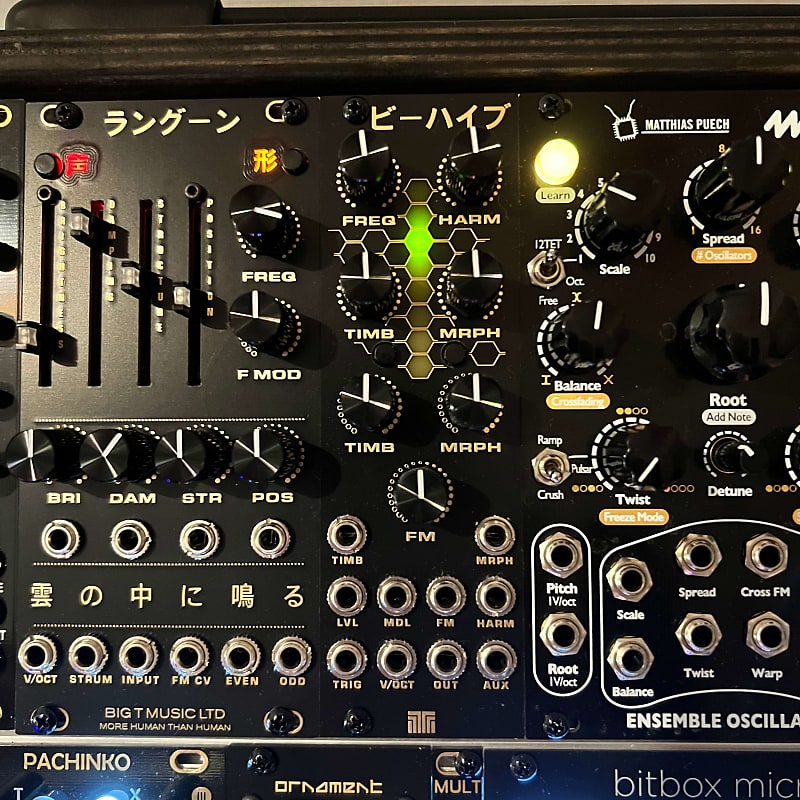 Big T Music Beehive Mutable instruments Plaits Module Rare | Reverb UK