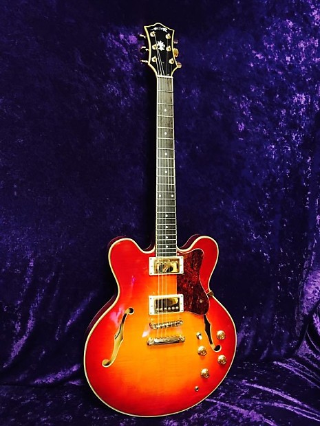 Arbor AJ-136 Hollowbody Cherry Sunburst Finish | Reverb