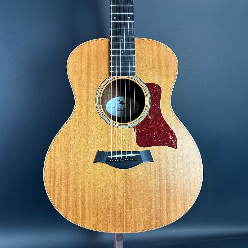 Used Taylor GS-Mini Mahogany w/bag TSU18971 | Reverb