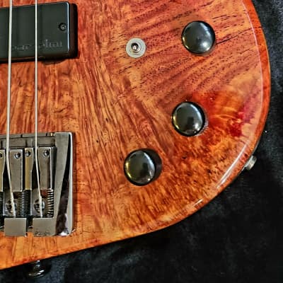 SJ Custom Guitars 5 string bass, Amboyna Burl Top, Ash Back, | Reverb