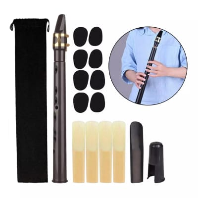 Portable Pocket Saxophone – Mini Woodwind Instrument for | Reverb
