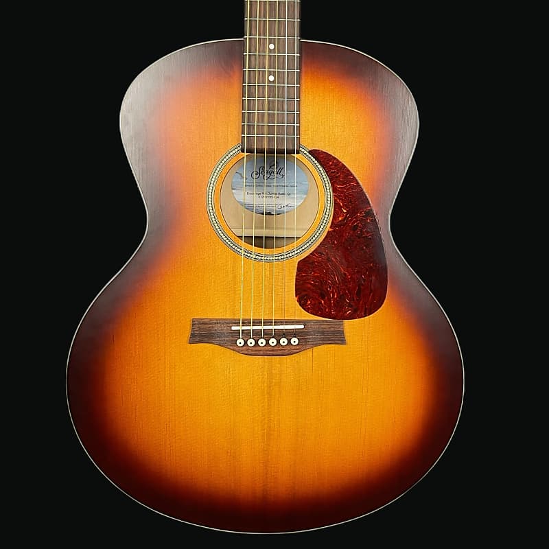 Seagull Entourage Mini Jumbo Rustic QI Electric Guitar in | Reverb UK