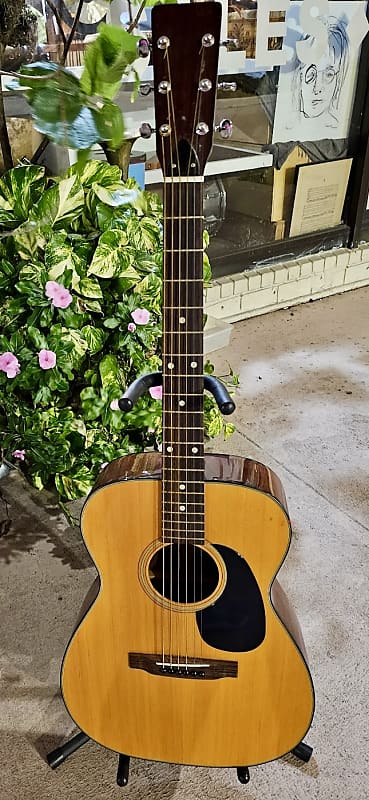 Roderich Paesold P-100- Vintage 70s Classical Guitar | Reverb