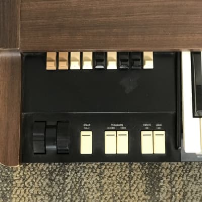 Hammond XB2 - Single Keyboard - Organ with Drawbars/Built in | Reverb