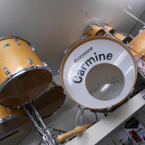 Carmine Appice's Rod Stewart, Realistic Rock, Ludwig 76 | Reverb