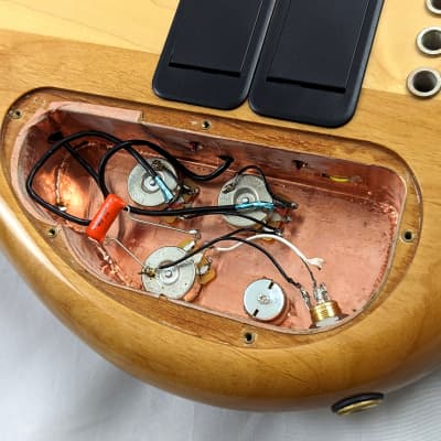 CARVIN USA IC5 Icon 5-String Bass Guitar w/Case - AAA Flame | Reverb