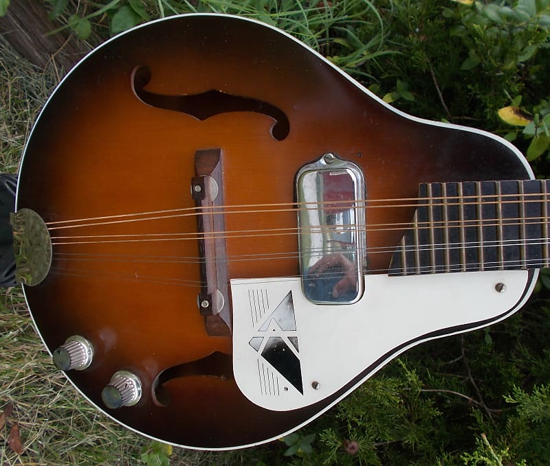 KAY N-2 Mandolin 1960s 2 Color Sunburst | Reverb