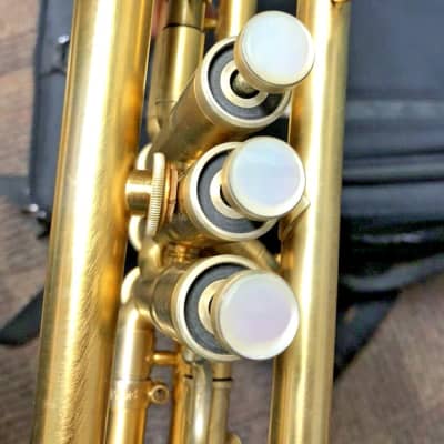Edwards Generation 3 Modular Trumpet Satin Brass Finish With | Reverb
