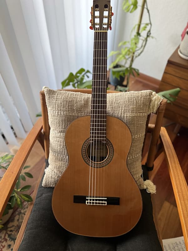 Alvarez Masterworks Series MC90 (with case) | Reverb